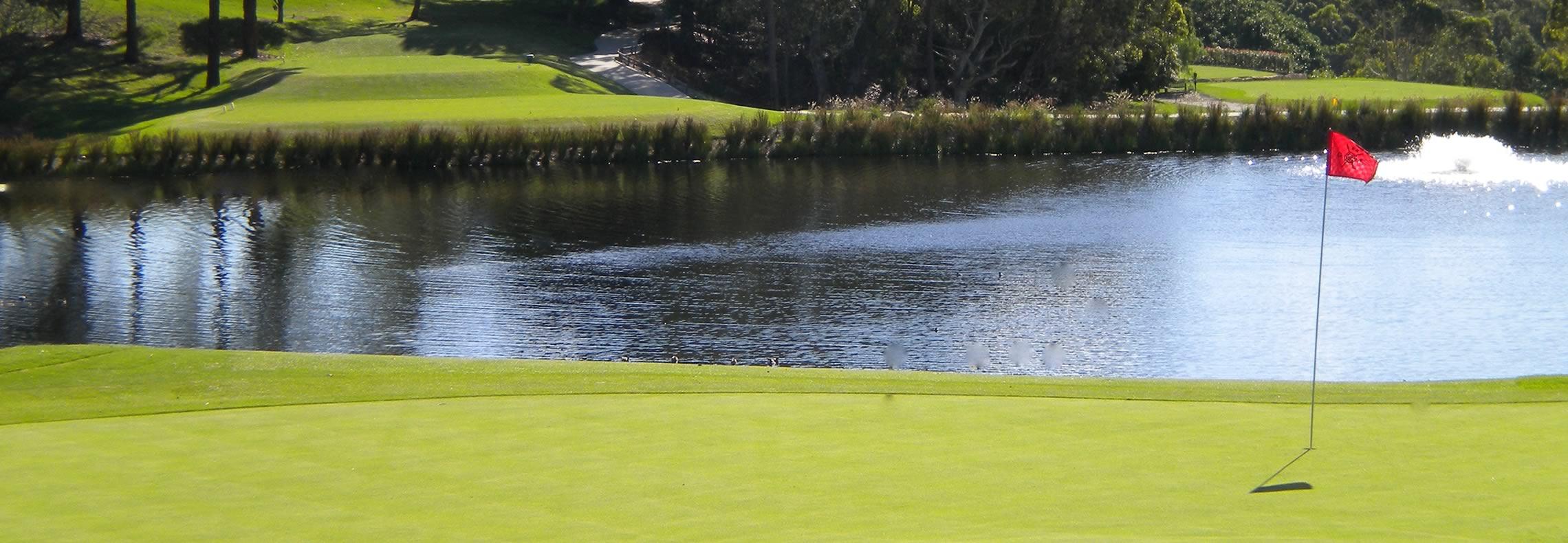 My Profile - Roseville Golf Club